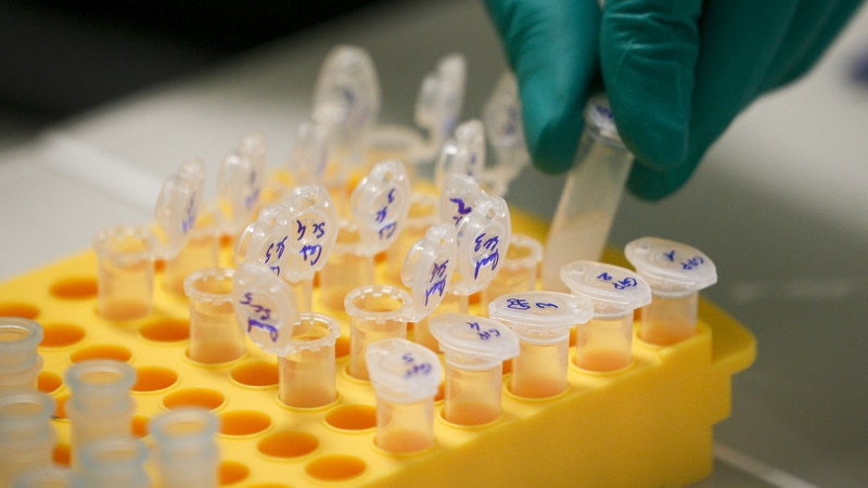 Video: Can DNA preserve our data? | World Economic Forum