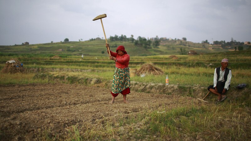 U.N. targets small farm businesses to help poorest producers | World ...