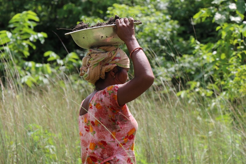 How to harness a community-based approach to conservation | World ...