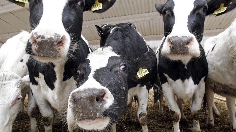 Why you should be eating less meat | World Economic Forum