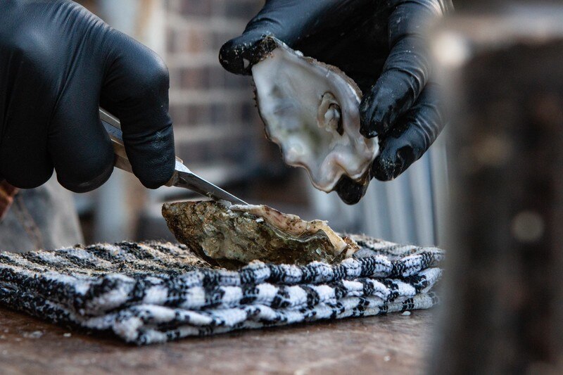How do mollusks make pearls so symmetrical? | World Economic Forum