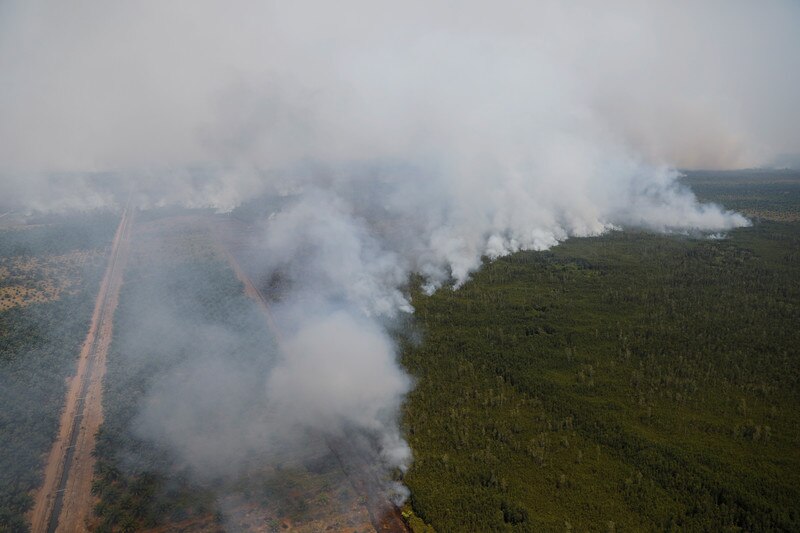 How deforestation is raising the risk of wildfires in Borneo | World ...