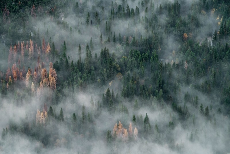 What is 'firetech' and how can it help put out megafires? | World ...