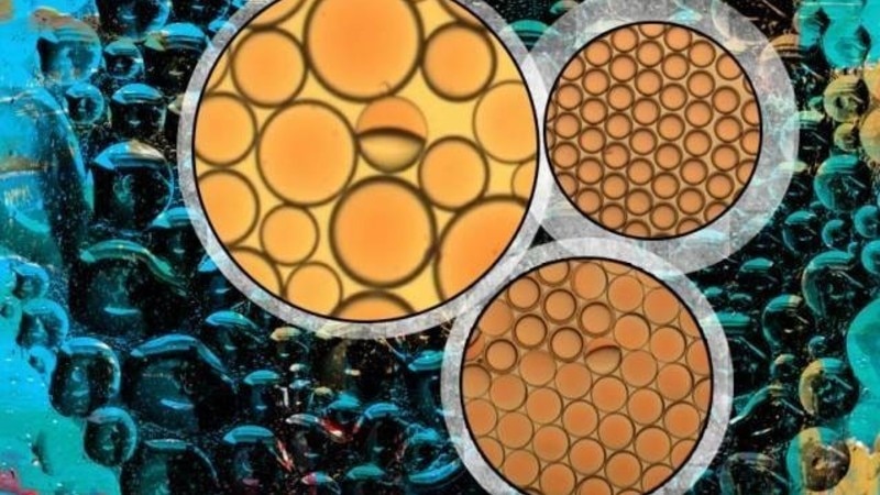 A simple way to make and reconfigure complex emulsions | World Economic ...