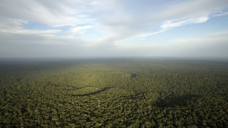 Why do climate models differ from the real world? | World Economic Forum