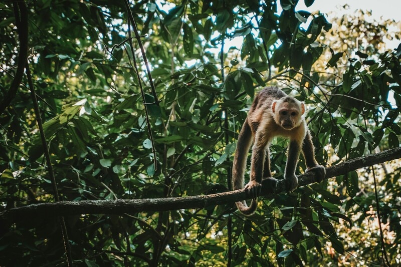 Biodiversity Day: How various business sectors can begin with nature ...