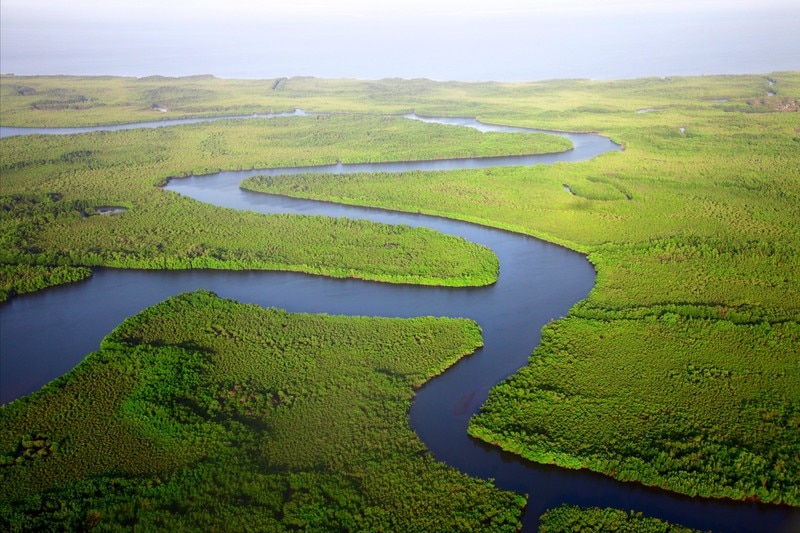 5 critical incentives that could protect nature and climate | World ...