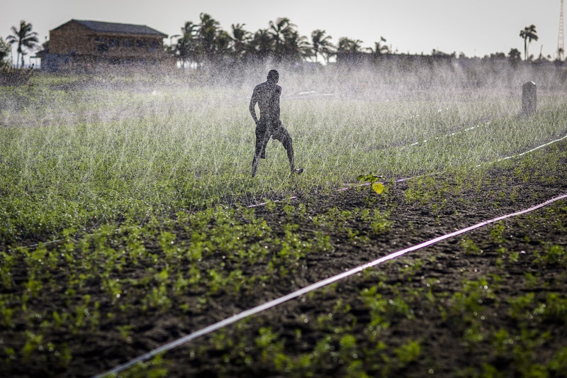 Why water security is our most urgent challenge today | World Economic ...