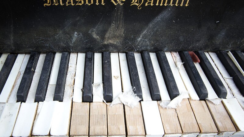 Tasting music and hearing pictures: The world of synaesthesia | World ...