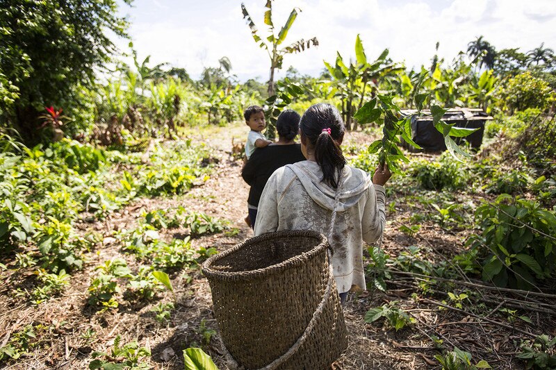 Why we must scale up climate-smart agriculture to feed the world ...