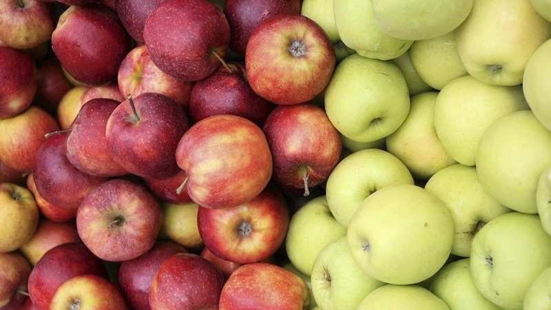 Why are mislabelled risks dangerous? | World Economic Forum