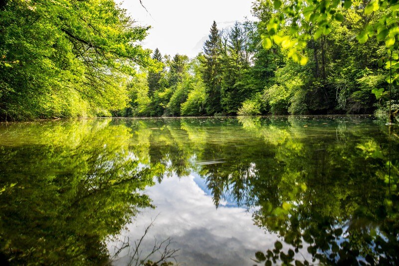 This study defines first data-driven definition of a pond | World ...
