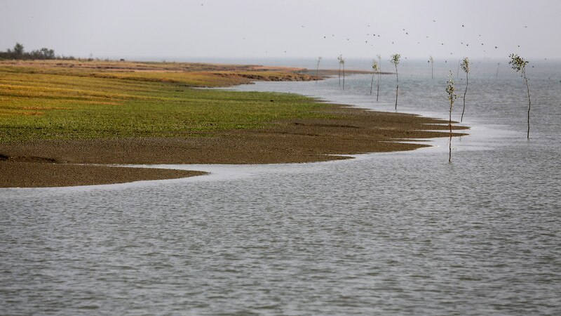 Naimul Karim - Agenda Contributor | World Economic Forum