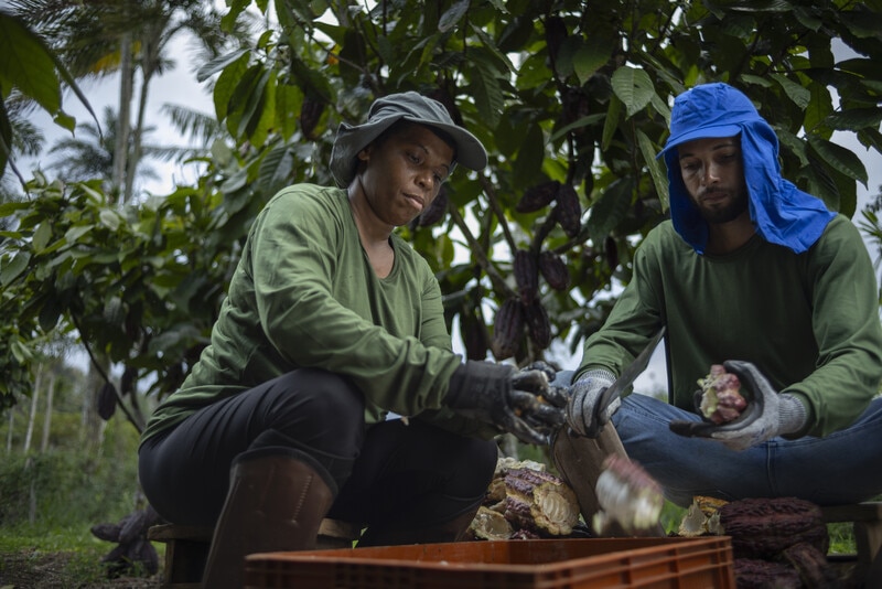 Finalists of the Schwab Foundation Social Innovation Awards | World ...