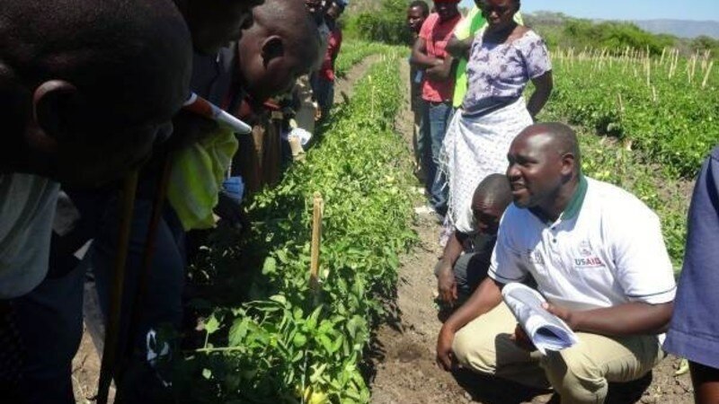 How to make sure developing countries can develop | World Economic Forum