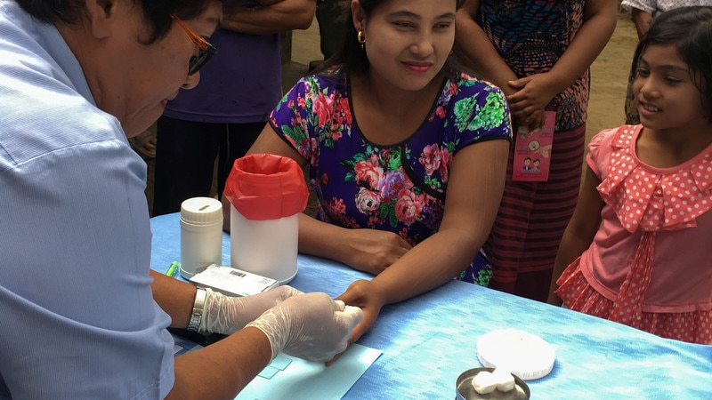 What fighting malaria can teach us about common purpose and how to ...