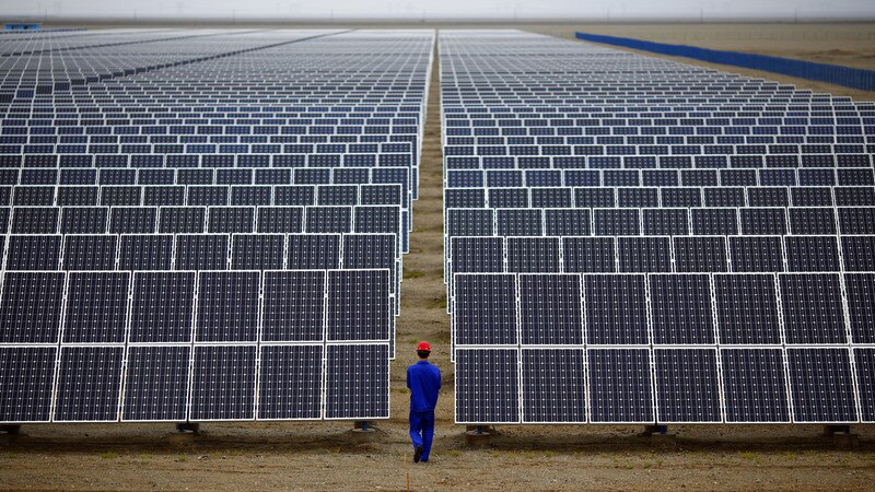 Why the business world still needs green champions | World Economic Forum