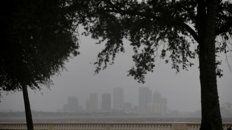 These are the 19 cities with the most trees | World Economic Forum