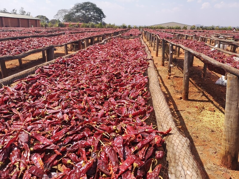 Design inclusive value chains to benefit smallholder farmers | World ...