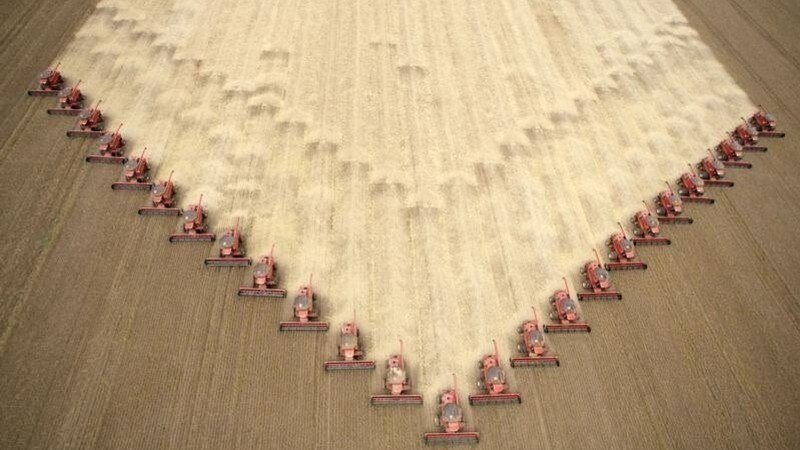 Video: How can we solve world hunger? | World Economic Forum