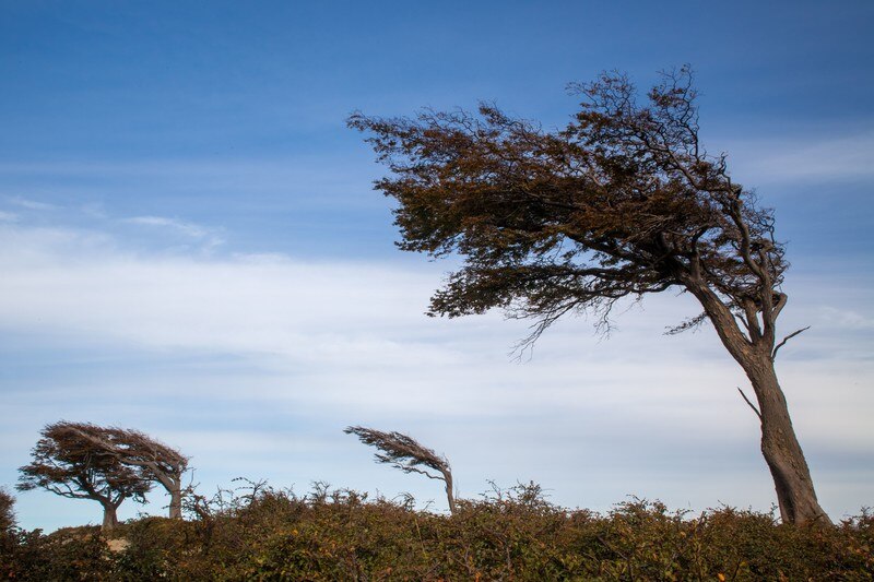 New method could help better predict extreme weather events | World ...