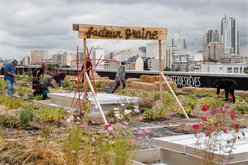 How can urban agriculture help food security and public health? | World ...