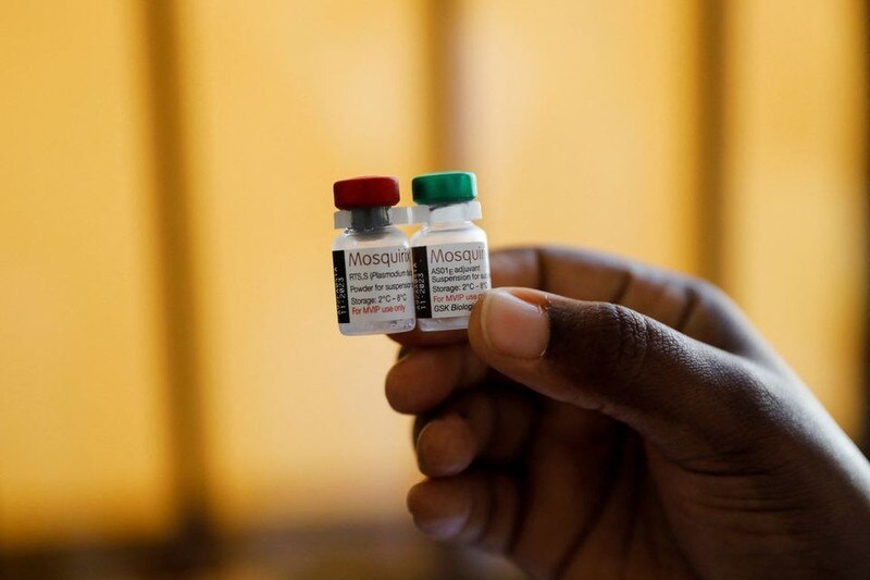 The long history of malaria vaccines | World Economic Forum
