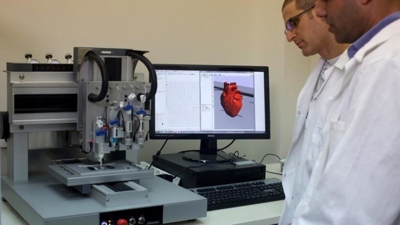 Computer simulations could replace animal testing for heart drugs ...