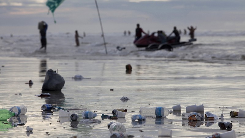 Video: How can we save our ocean ecosystems? | World Economic Forum