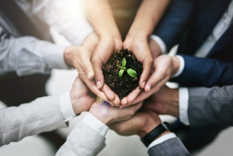 How company boards can be a vanguard for climate action | World ...