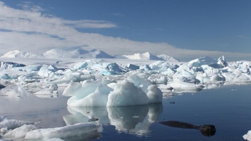 Disappearing ice, superpowers and other science stories of the week ...