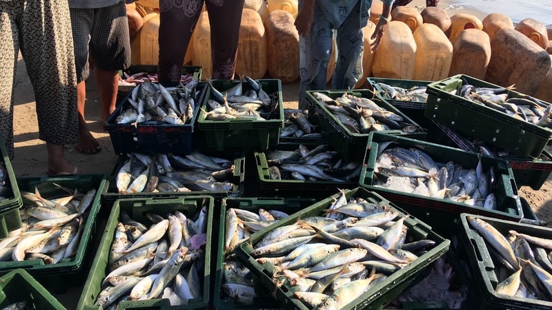 The massive impact of climate change on your food production sources ...