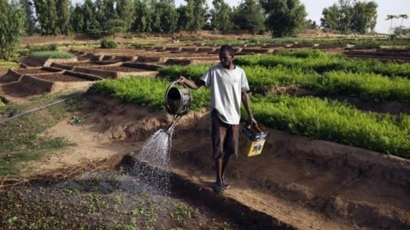 How data can protect farmers against drought | World Economic Forum