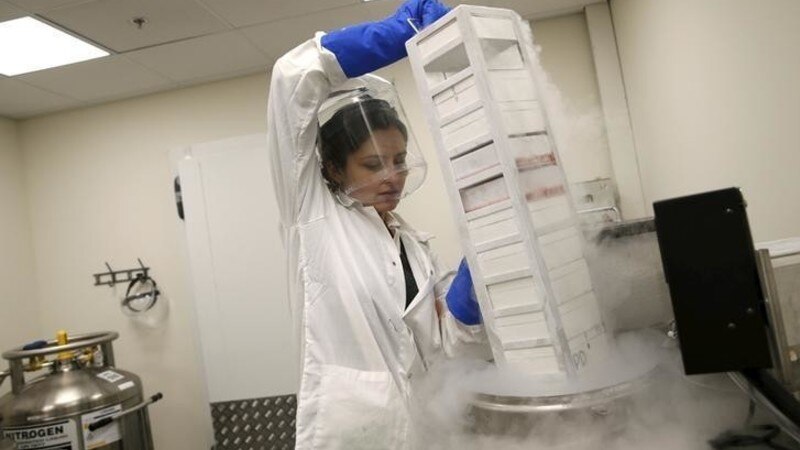Here's how we can encourage more women into science | World Economic Forum
