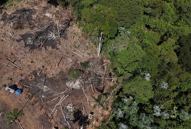 The EU has delayed measures on deforestation-free products. But ...