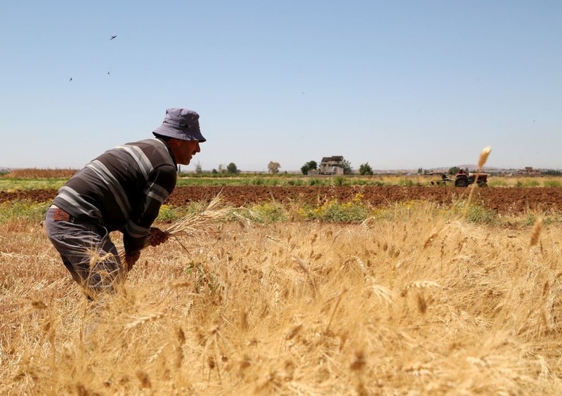Climate, conflict affect Syrian crops and more environment stories ...