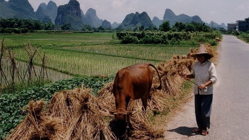 Go-go China | World Economic Forum