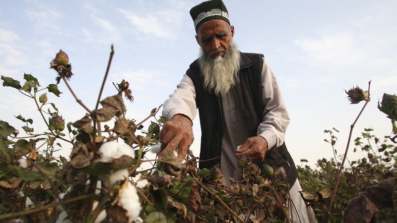 How to end poverty traps in rural areas | World Economic Forum