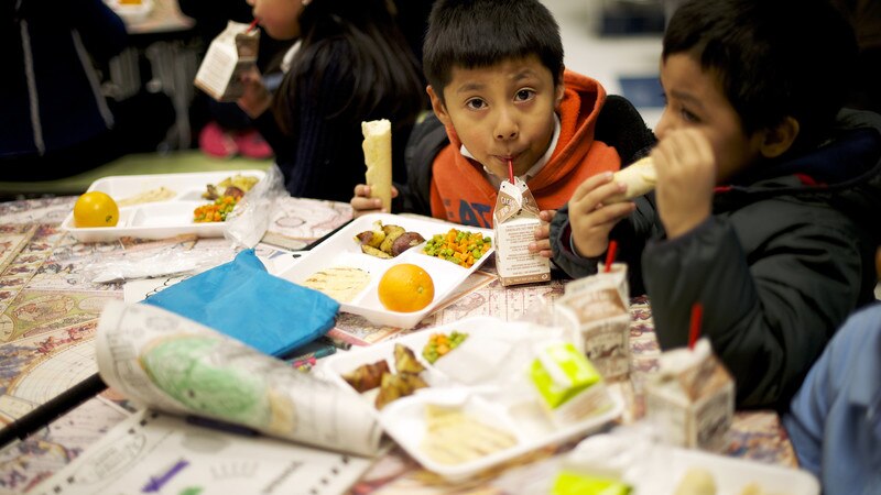 What school lunches tell us about educational achievement and ...