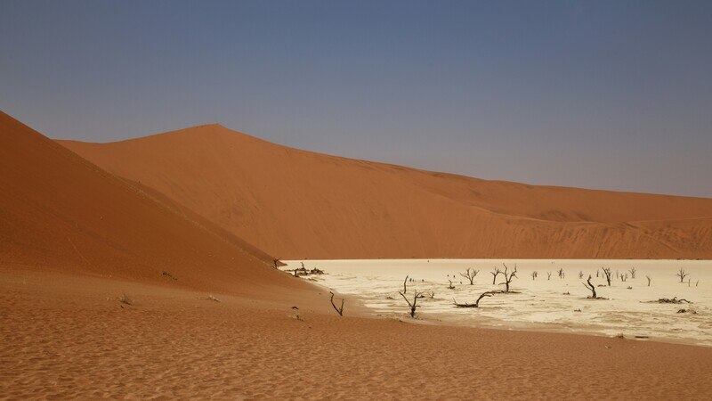 How the birthplace of Earth Day became a climate innovation hub | World ...