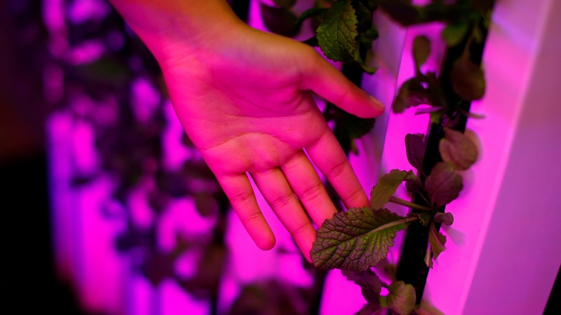 'Food computers' could be the future of agriculture | World Economic Forum