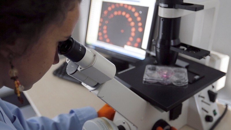 The new laser that's improving biological imaging | World Economic Forum