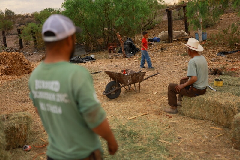 Carbon insetting vs offsetting – an explainer | World Economic Forum