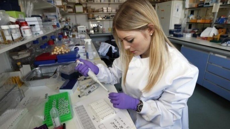 How to make overseas STEM students stay in the US | World Economic Forum