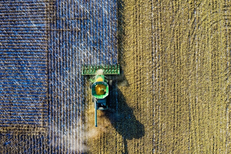 The hidden cost of agrifood is $10 trillion, finds the FAO | World ...