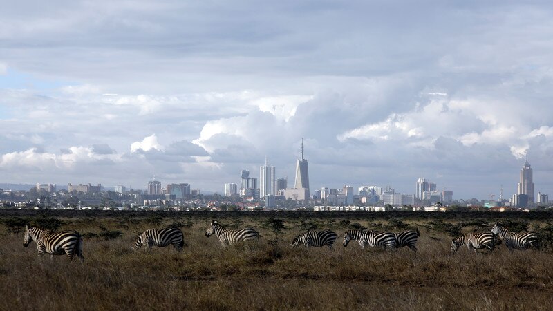 Four lessons from sub-Saharan Africa on building effective business ...