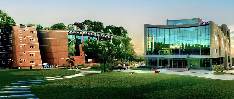 CEOs: 5 actions to help navigate the ‘Grow or Go’ mandate | World ...