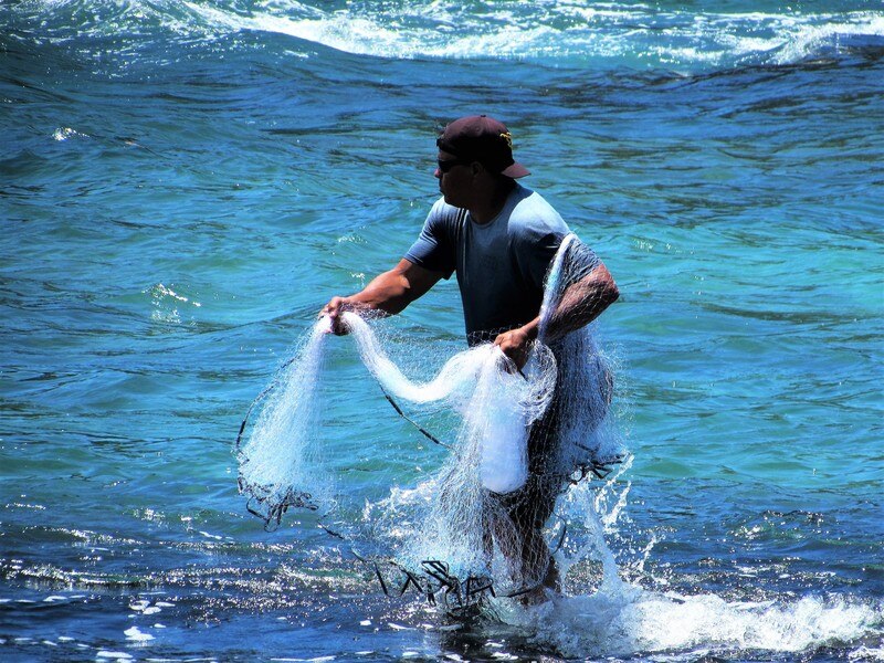 How to help protect ocean environments for local fisheries | World ...