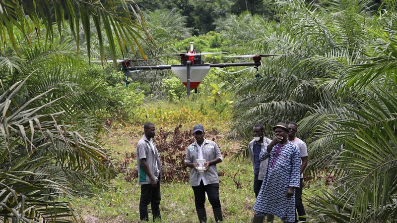 This is how high-tech innovation can shape the future of Africa's ...
