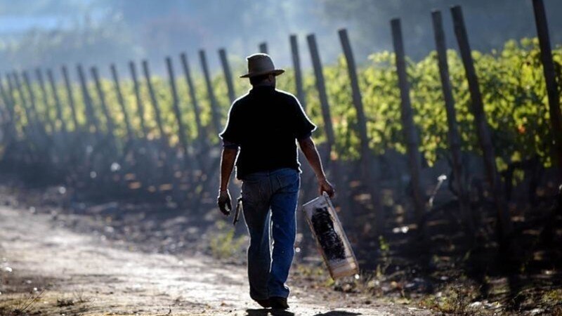 Escaping Latin America’s commodities inequality trap | World Economic Forum
